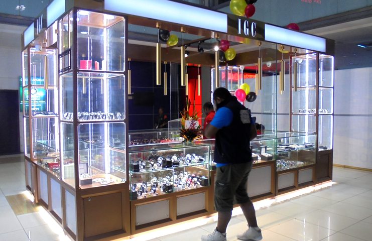 IGC – Vision City
